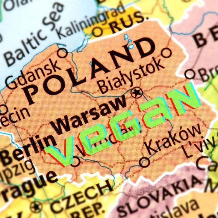 Top 10 Most Vegan Friendly Countries in 2024 - Veganiac